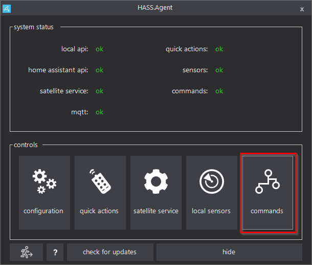 Command Basics - HASS.Agent
