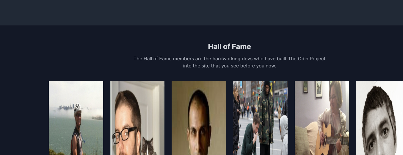 Issue: Contributing page, Hall of Fame distorted images on safari · Issue #25045 ...