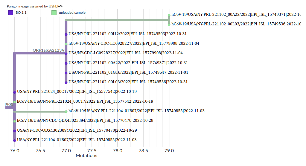 BQ.1.18 with S:Y144-, S:F490S and N:G30- in New York (8 sequences) · Issue #1350 · cov-lineages ...