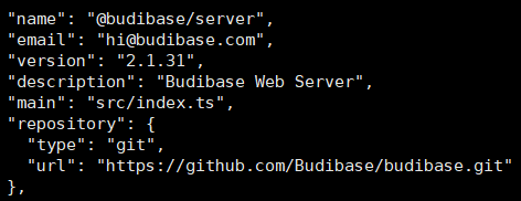 output version on install_version.txt [budibase] ￥50 · Issue #29 · Websoft9/docker-library · GitHub