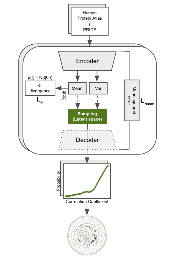 GitHub - mikelkou/fava: Functional Associations using Variational Autoencoders