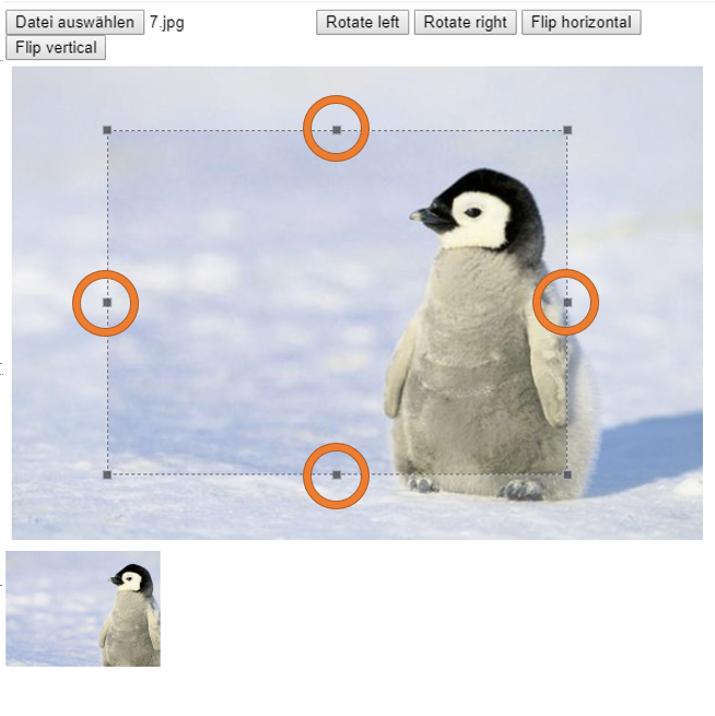 Allow free ratio · Issue #177 · Mawi137/ngx-image-cropper · GitHub