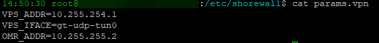 [BUG] [VPS 0.1028] params.vpn on shorewall not update correctly when ...