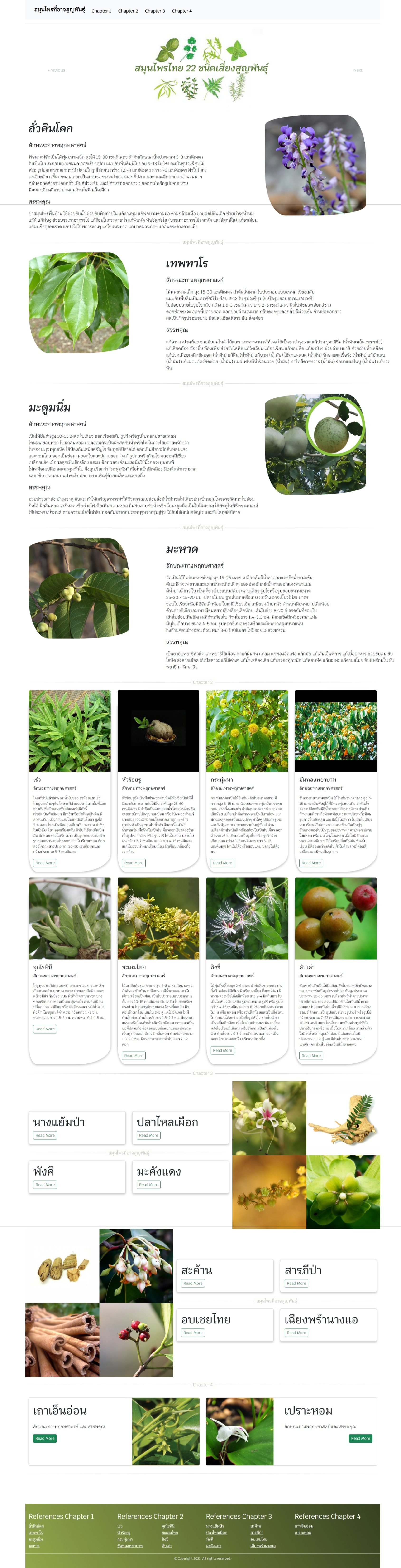 GitHub - NattaphatJangponak/040613411