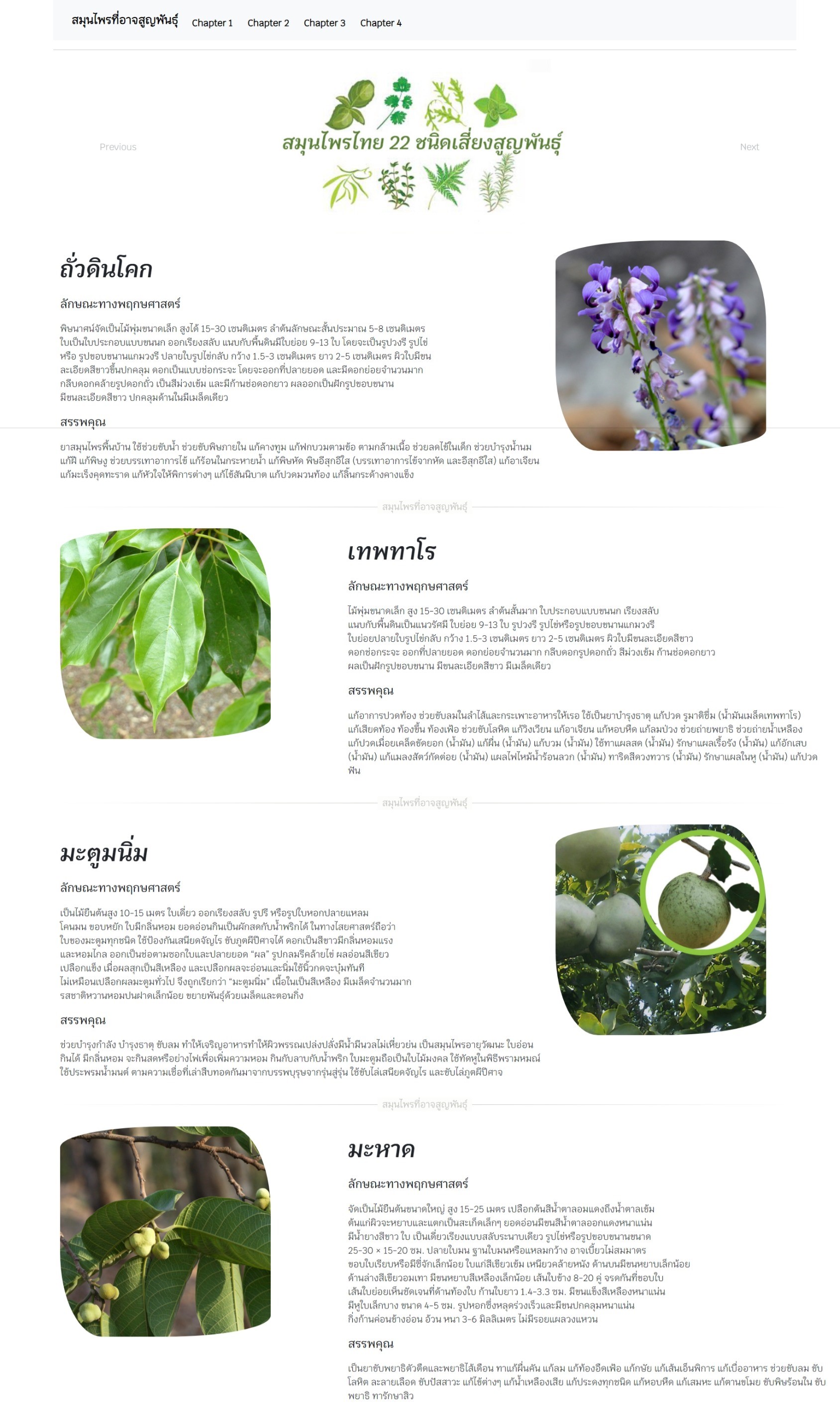 GitHub - NattaphatJangponak/040613411