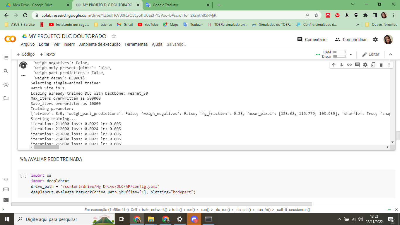 Erro Restart training · Issue #2053 · DeepLabCut/DeepLabCut · GitHub