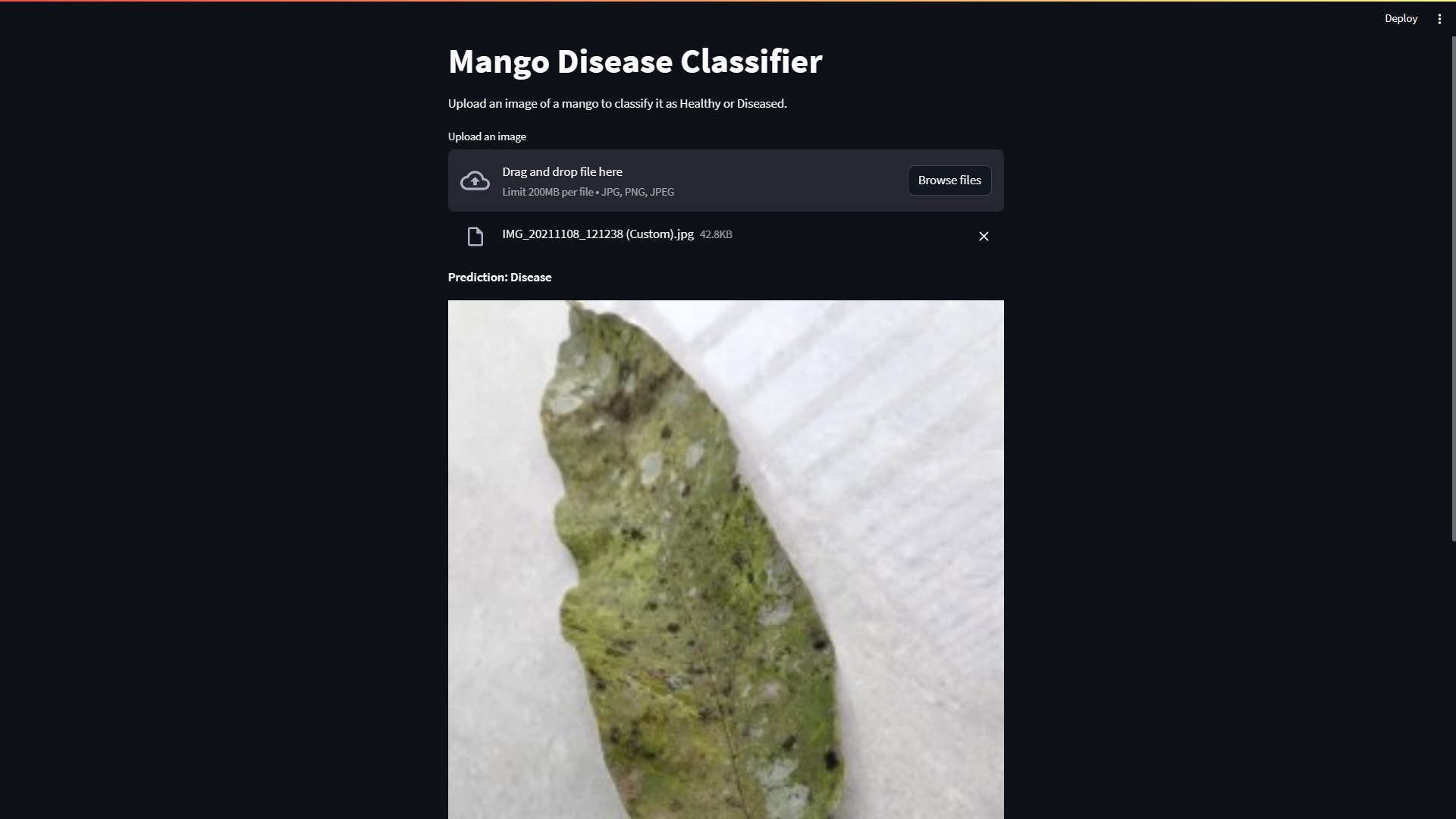 GitHub - gbiamgaurav/mango-leaf-disease