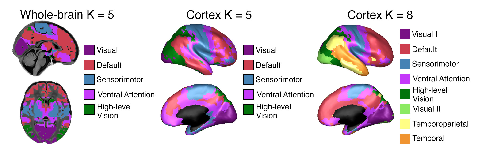GitHub - SayginLab/neonate_molloy: Repository for 'Innate Organization ...