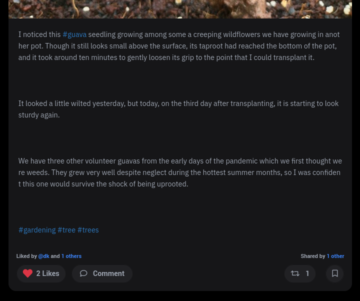 Text formatting on Dekstop/browser is messed up · Issue #3629 · pixelfed/pixelfed · GitHub