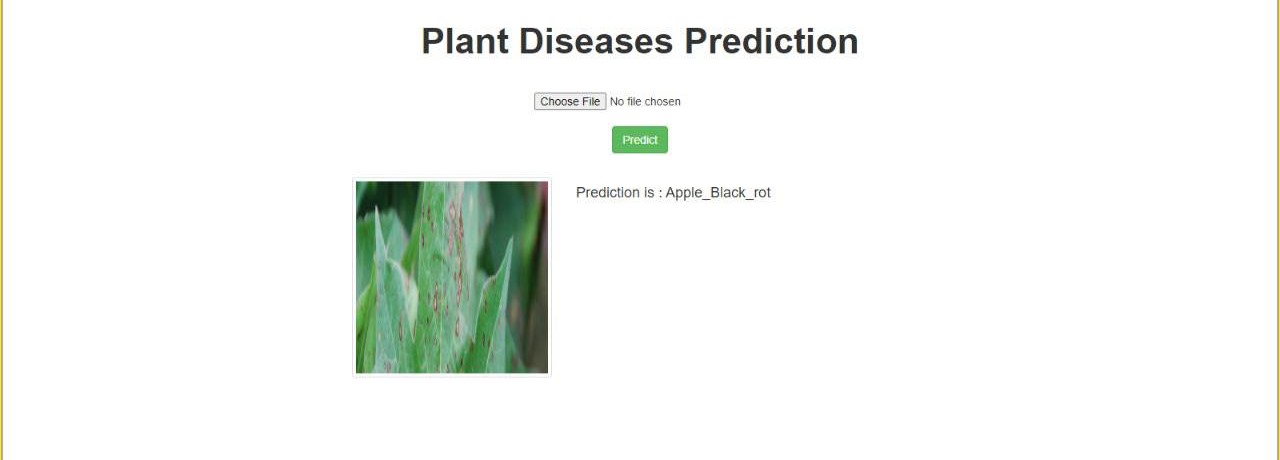 Github Ahmed Gomaa1 Samsung Dl Finalproject Plant Diseases Classification