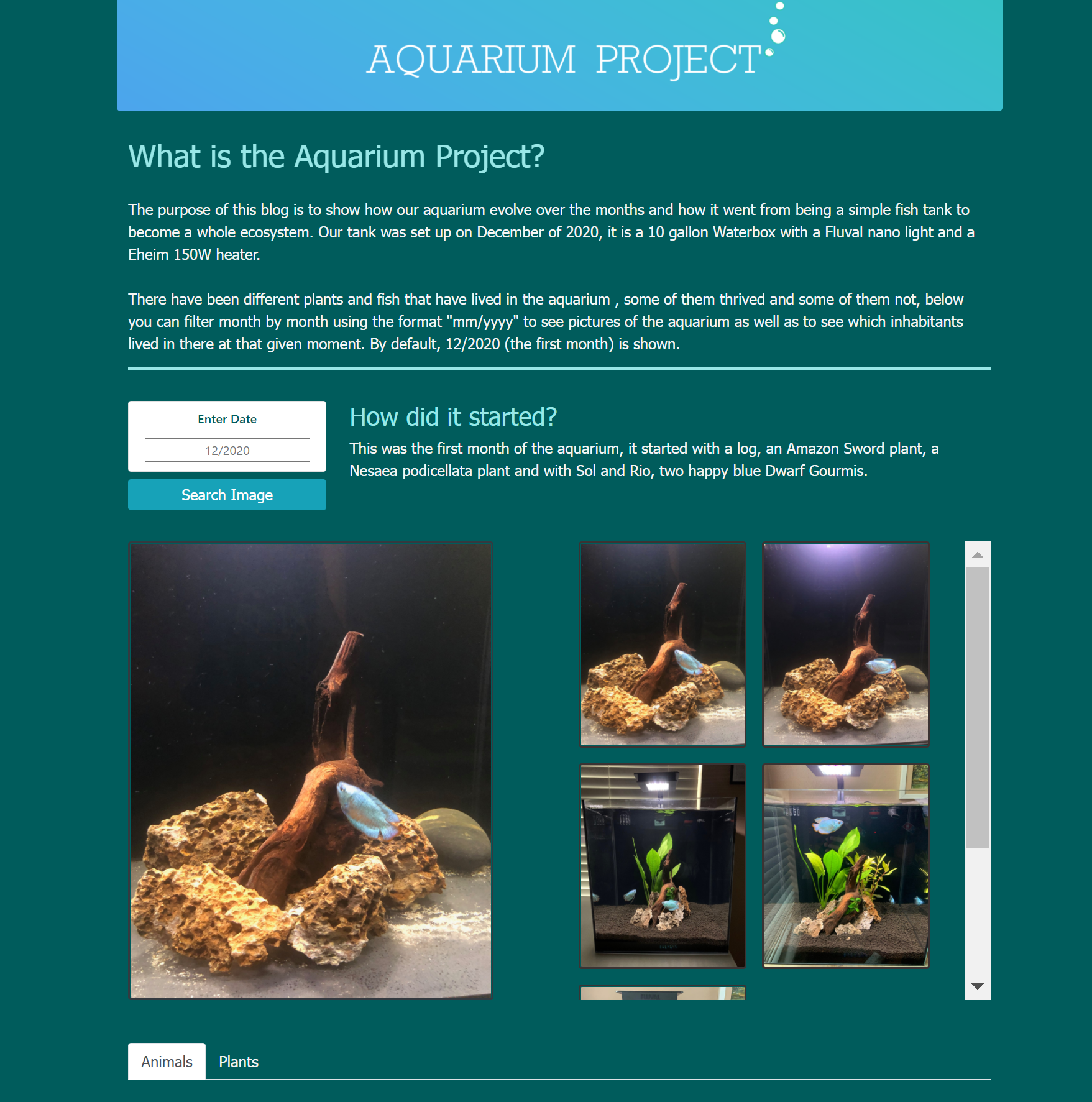 GitHub - danielurdaneta/Aquarium