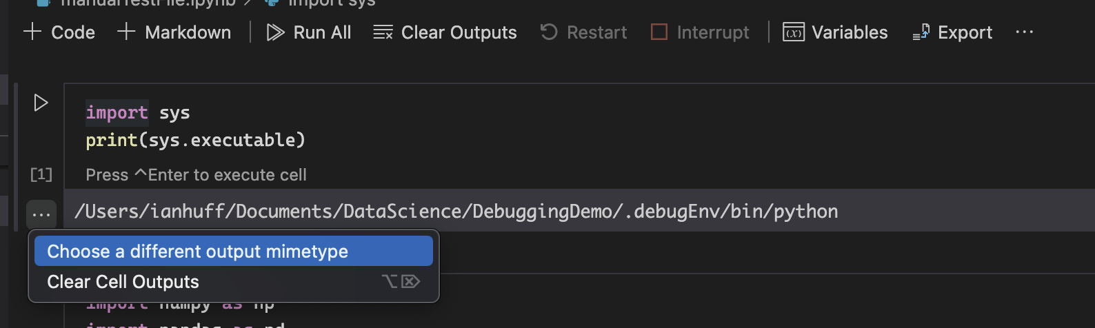Notebook Suggestion Choose A Different Output Mimetype Only Available When Different Options