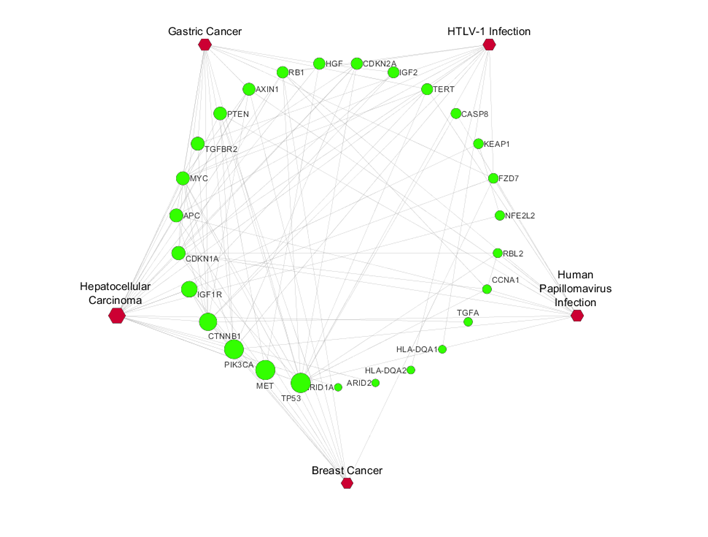 GitHub - AspirinCode/CROssBAR-Networks: Comprehensive Resource of Biomedical Relations with Deep ...