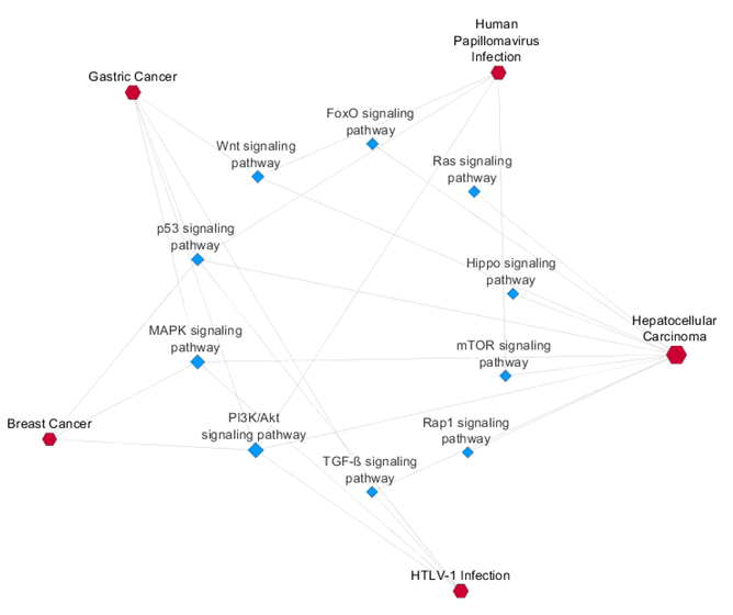 GitHub - AspirinCode/CROssBAR-Networks: Comprehensive Resource of ...