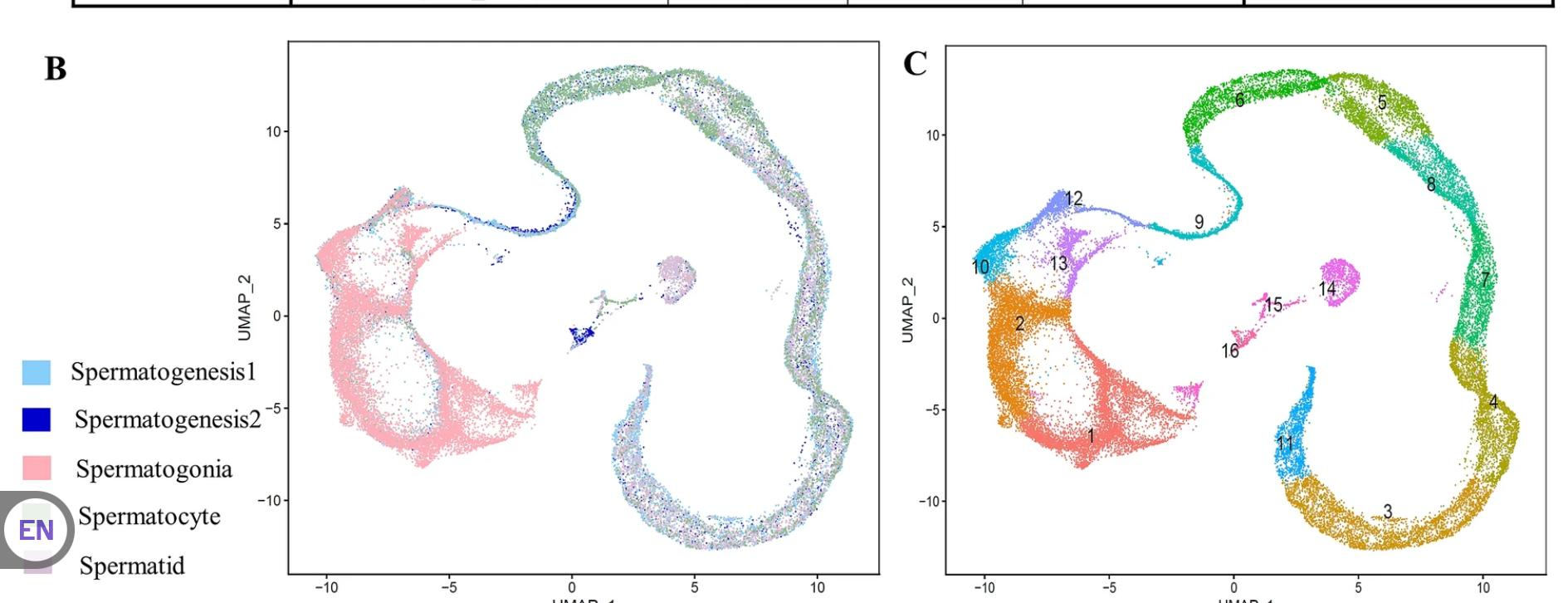 Why the most suitable UMAP PCs for my scRNA-seq dataset is only Three ...