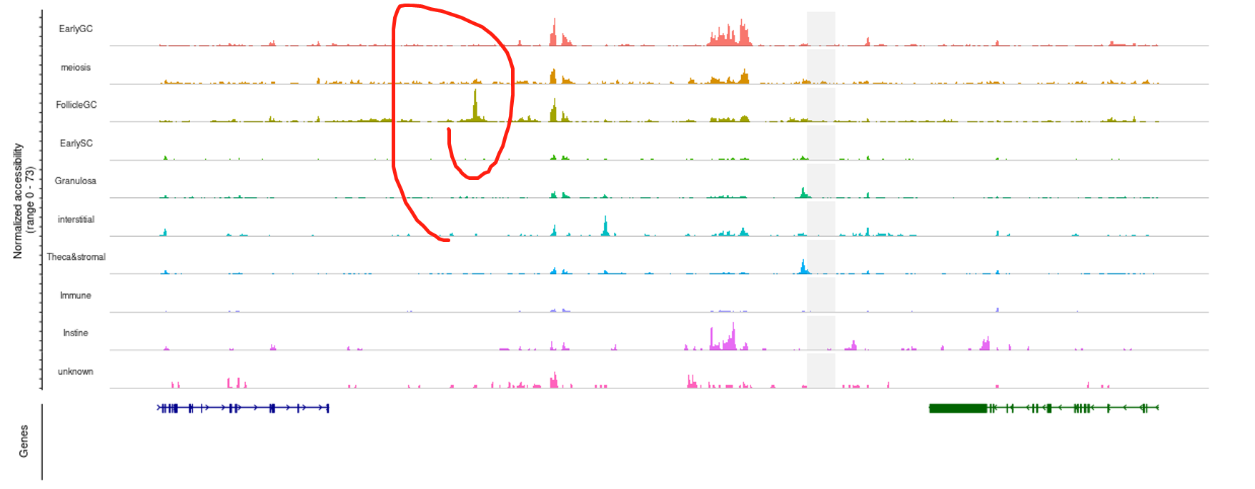 How to use FindMarkers() to find the intergenic da peaks? · Issue #1045 · stuart-lab/signac · GitHub