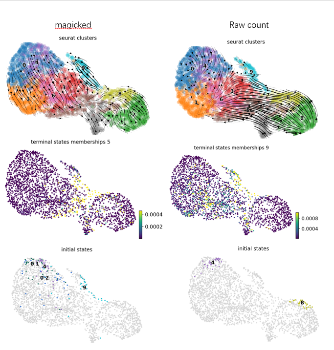 Is `magicked` data recommanded for `cellrank` pipeline? · Issue #852 · theislab/cellrank · GitHub
