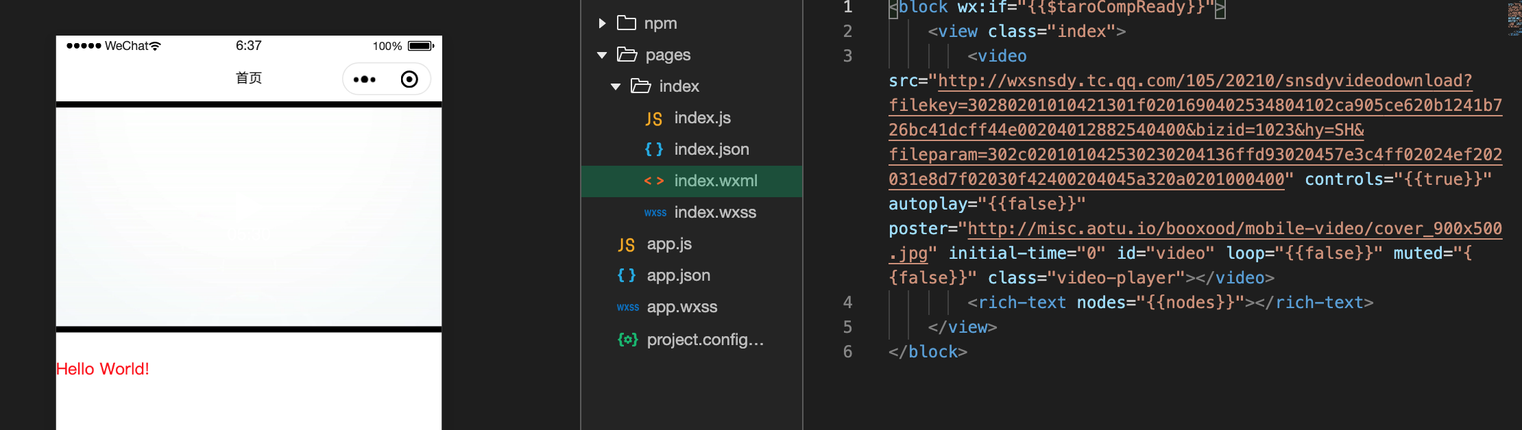 video autoplay主动设置false，controls设置为true，控制条不显示 · Issue #4049 · NervJS/taro · GitHub