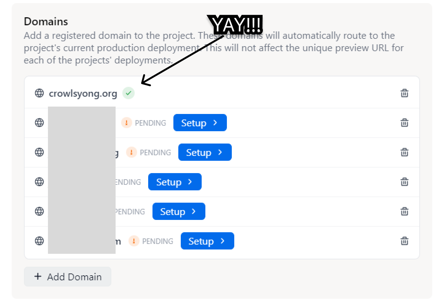 Unable to add custom domain · Issue #356 · denoland/deploy_feedback · GitHub