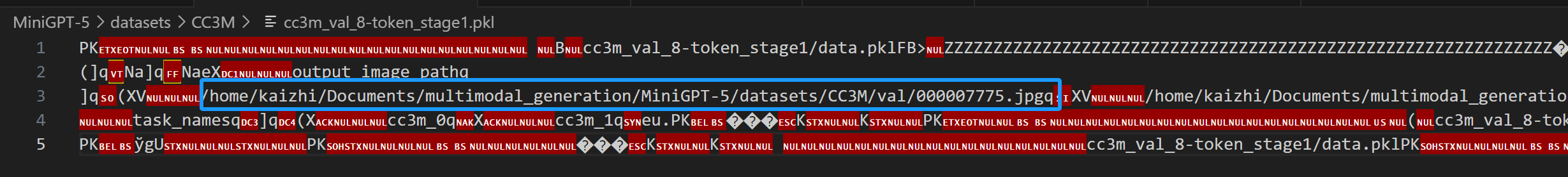Absolute Path in file "MiniGPT-5/datasets/CC3M/cc3m_val_8-token_stage1.pkl" · Issue #16 · eric ...