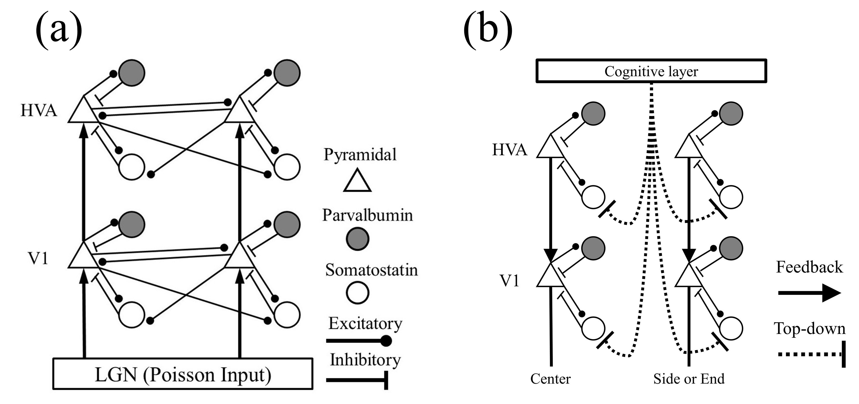 GitHub - RT-JP/Top-down-influence-for-visual-cognition: This repository ...