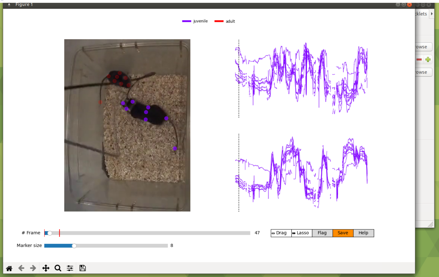 Issue when trying to swap identities with lasso while refinement · Issue #1585 · DeepLabCut ...