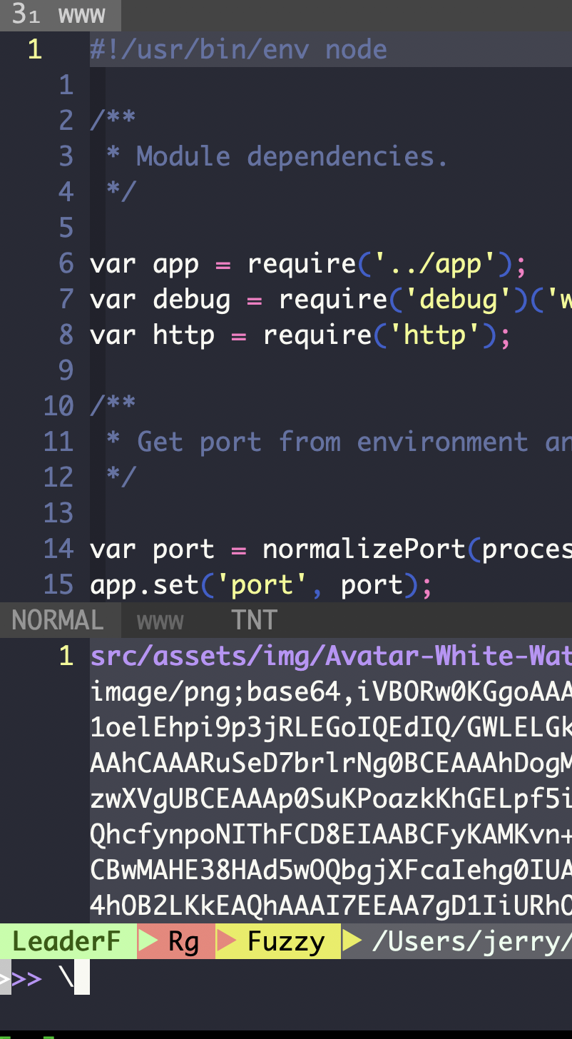 vim no response · Issue #316 · Yggdroot/LeaderF · GitHub