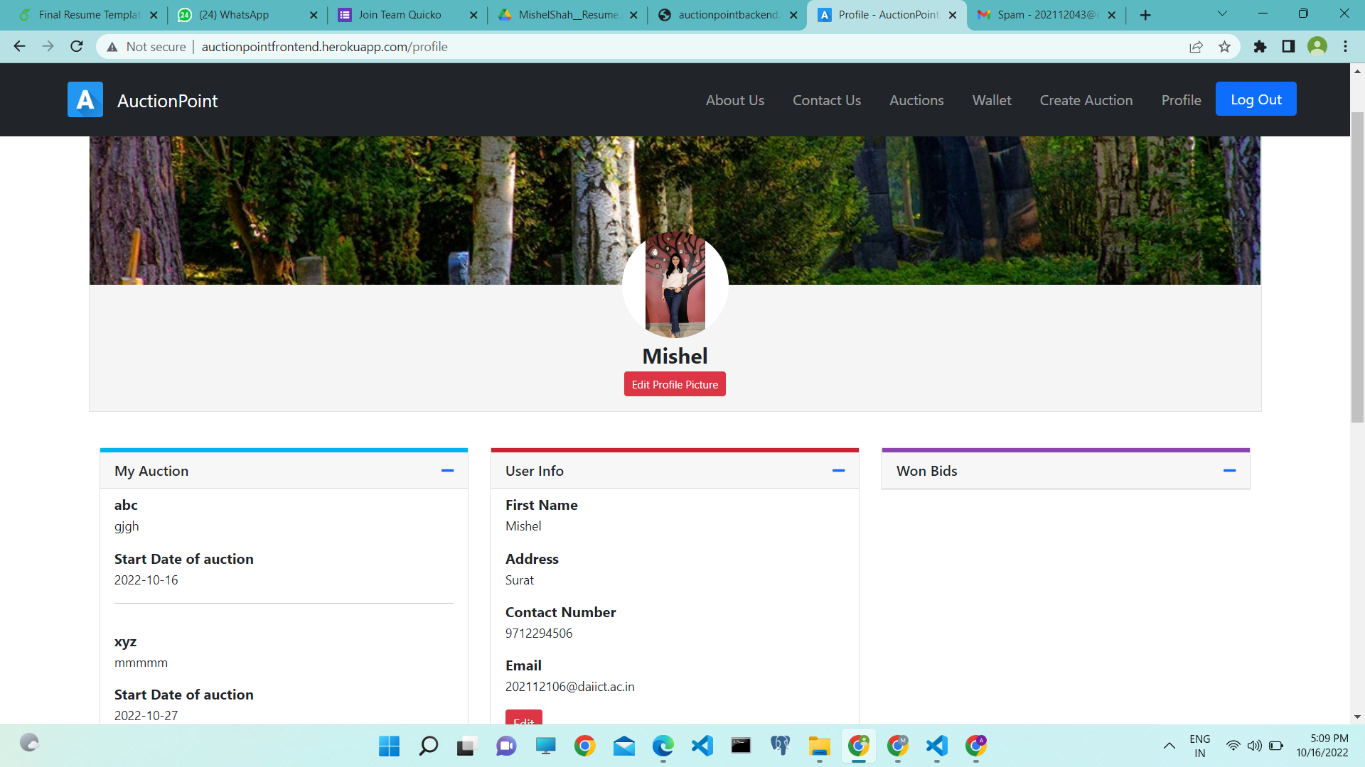 GitHub - Mishel07/AuctionBackend