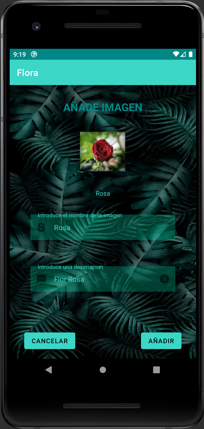 GitHub - joosse04/FloraApp: Aplicación para gestionar floras que usa una API REST