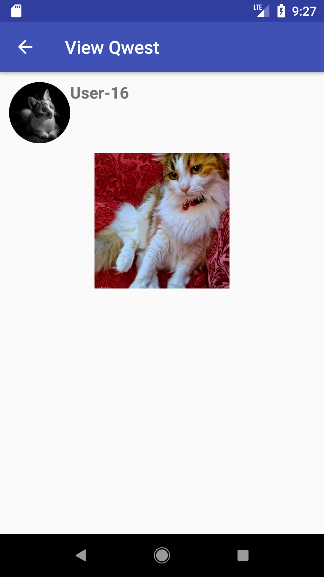 GitHub - amalskr/viewqwest: viewqwest sample android application (MVVM)