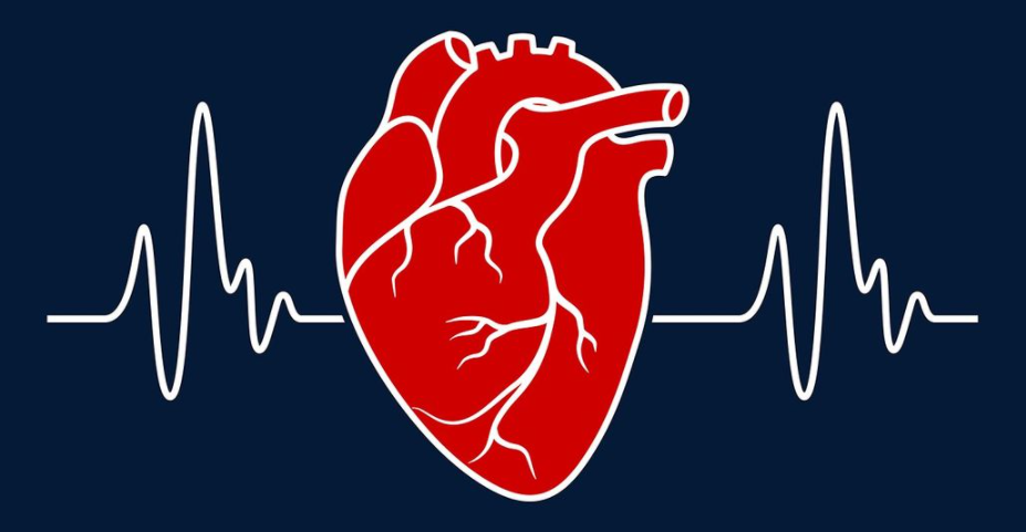 GitHub - Typonote/ColabHeartFailureAnalysis: colab과 Python을 이용하여 심부전(Heart_Failure) 데이터 분석하기