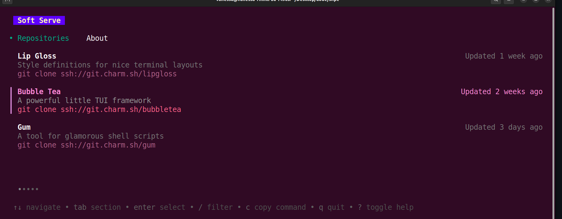 Question about soft serve · Issue #239 · charmbracelet/soft-serve · GitHub