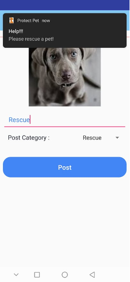 GitHub - Shaikot37/Protect-Pet: Android App