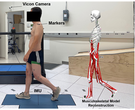 GitHub - Sanzid-Priam/Estimating-lower-extremity-joint-angles-during-gait-using-reduced-number ...