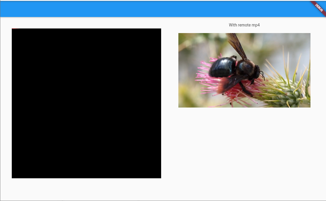 [Web] [Video_Player] [canvaskit] Exiting full screen makes images black - regression between ...