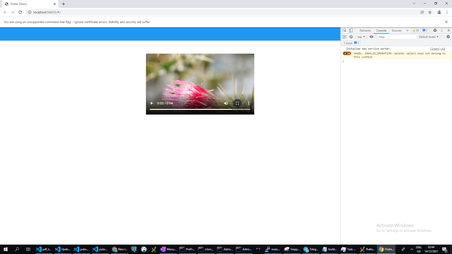 Web Canvaskit Platform Views Including Videoplayer Fullscreen Blanking Other Widgets On 