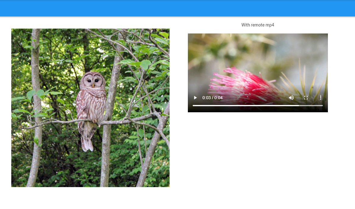 [Web] [CanvasKit] Platform Views (including Video_player fullscreen) blanking other widgets on ...