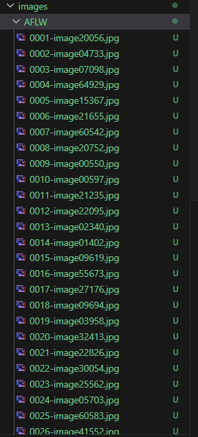 RuntimeError: Trying to resize storage that is not resizable · Issue #248 · lucidrains/denoising ...