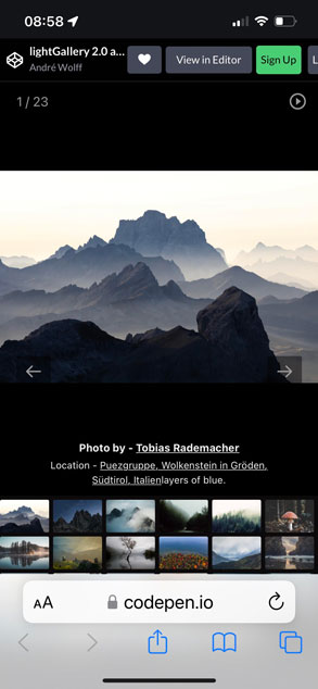 animateThumb: false, resize problem. · Issue #1373 · sachinchoolur/lightGallery · GitHub