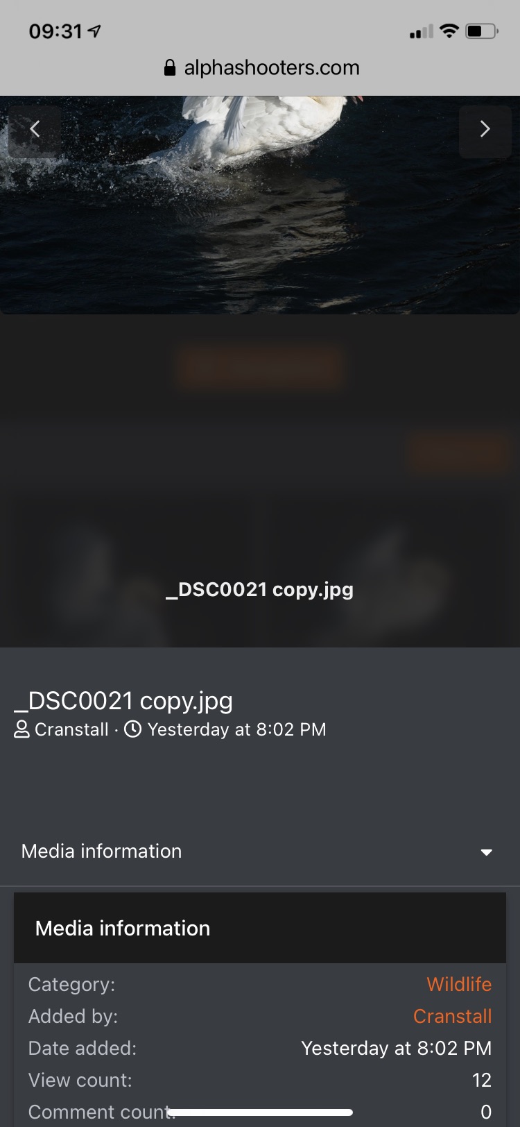Swipe up to scroll down instead of closing the lightbox · Issue #2529 · fancyapps/fancybox · GitHub