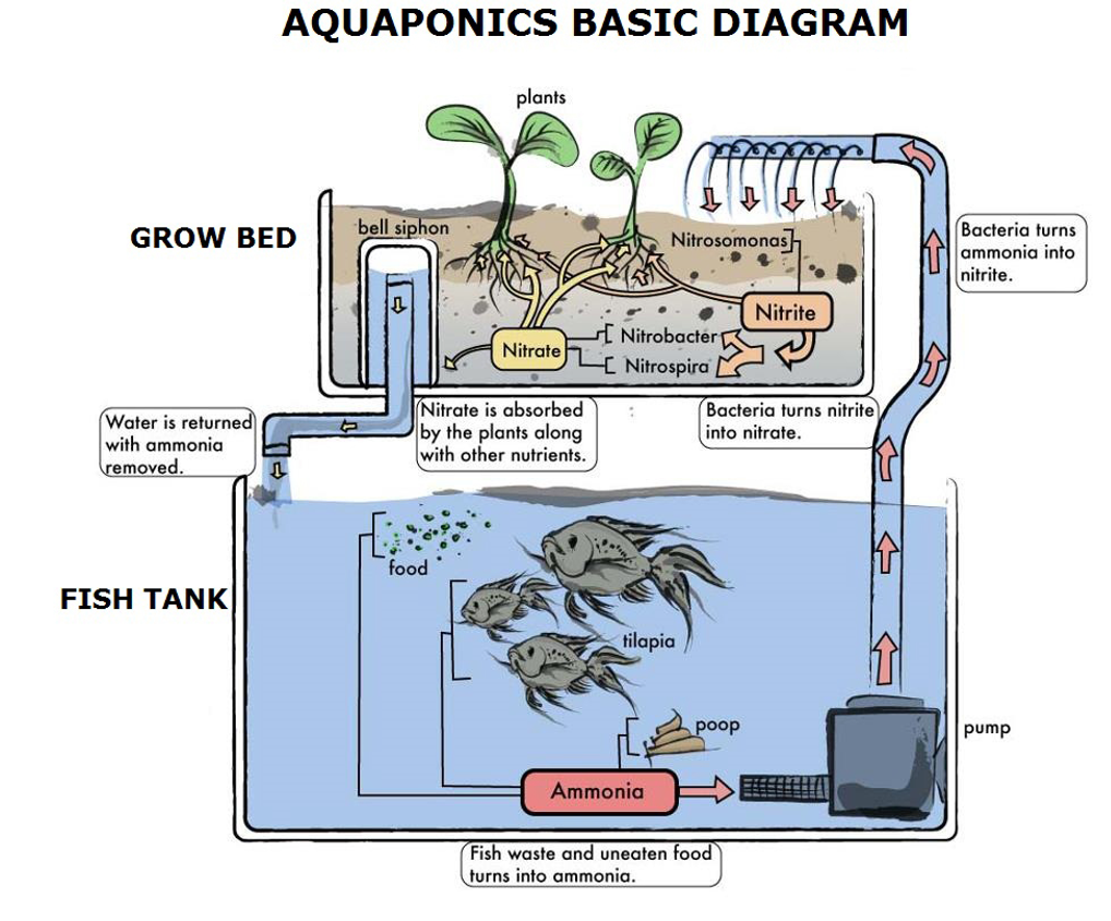 GitHub - anwaralshamkhany/Arduino-Aquaponics: This is a homemade ...