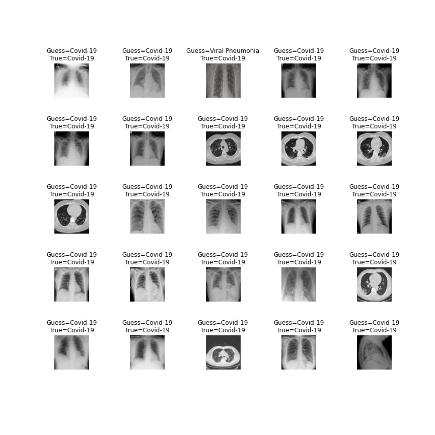 GitHub - ShojibDE/Project-4-Medical-Images: Classify chest disease to ...