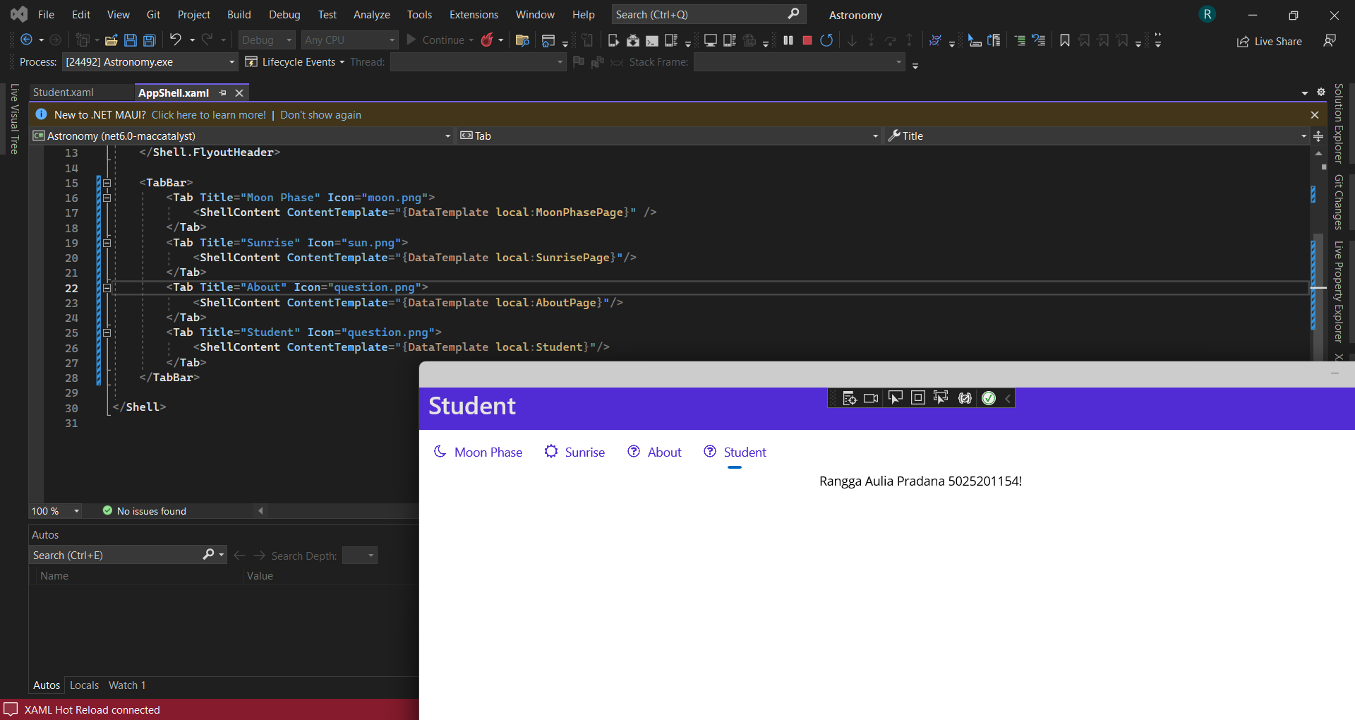 GitHub - lvnchboxx/.NET-MAUI-Excercise: this are my excercise on how to build an application on ...