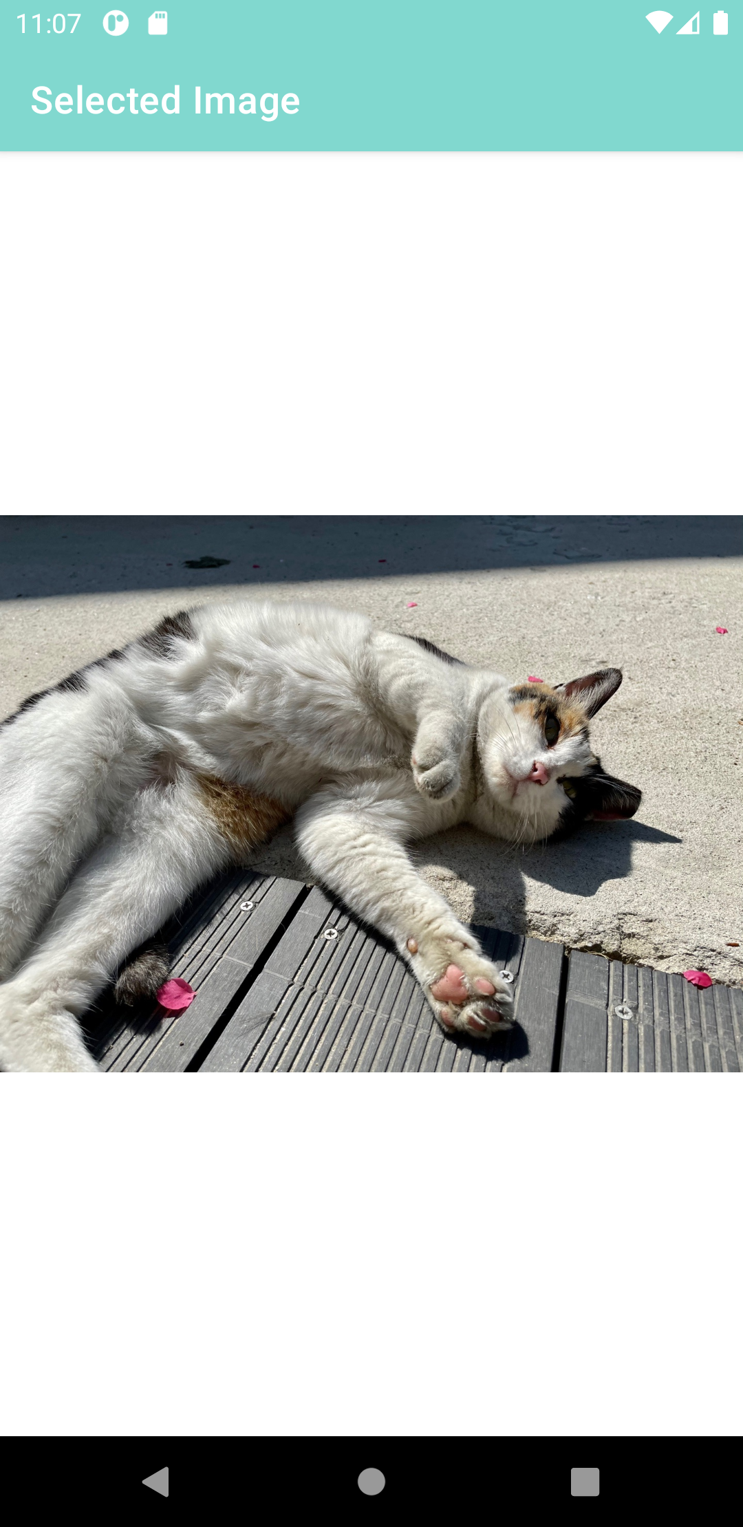 GitHub - YunKim-kaist/Android_application