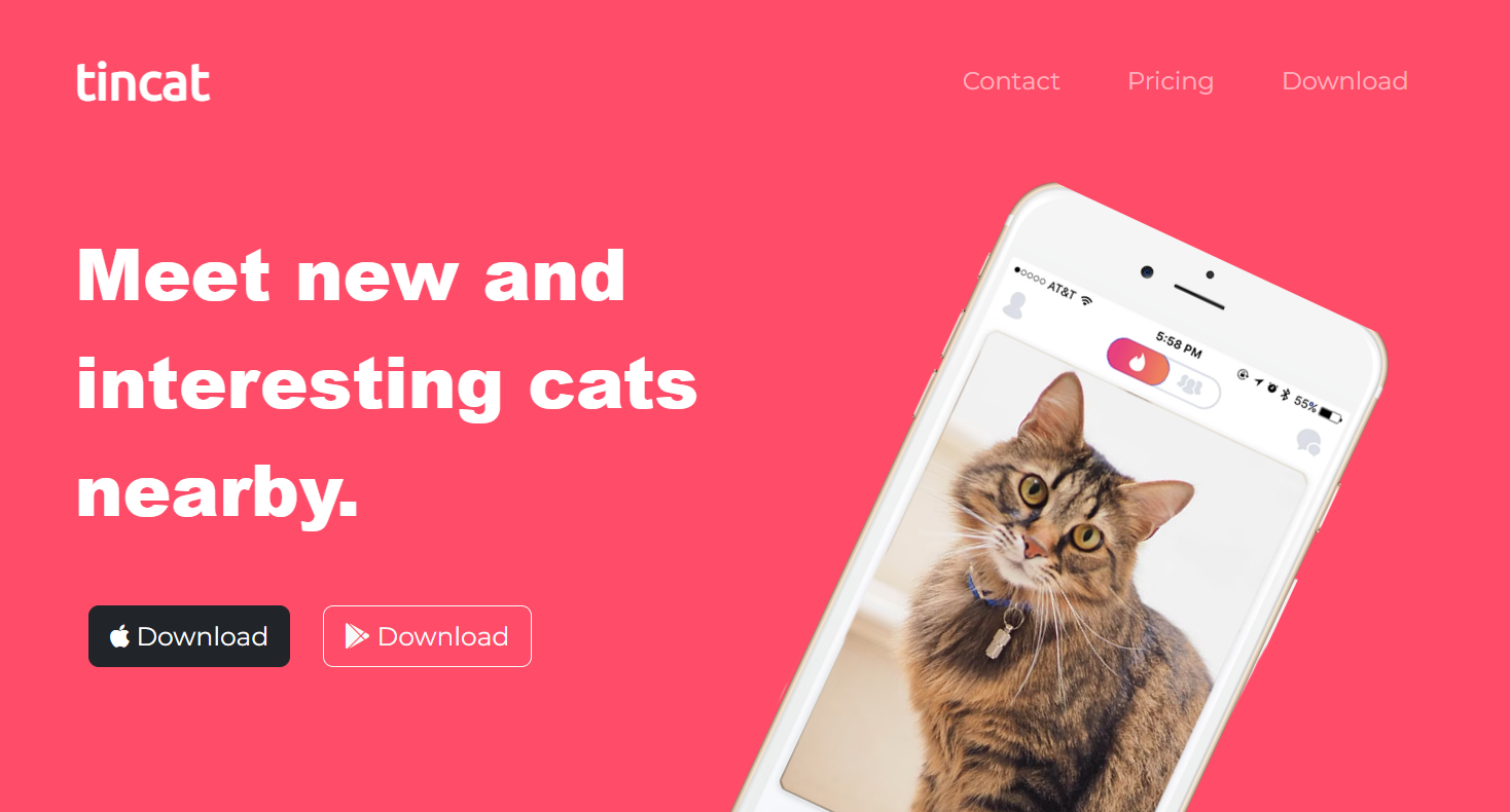 GitHub - yavuzucrkss/TinCat: an example html css project