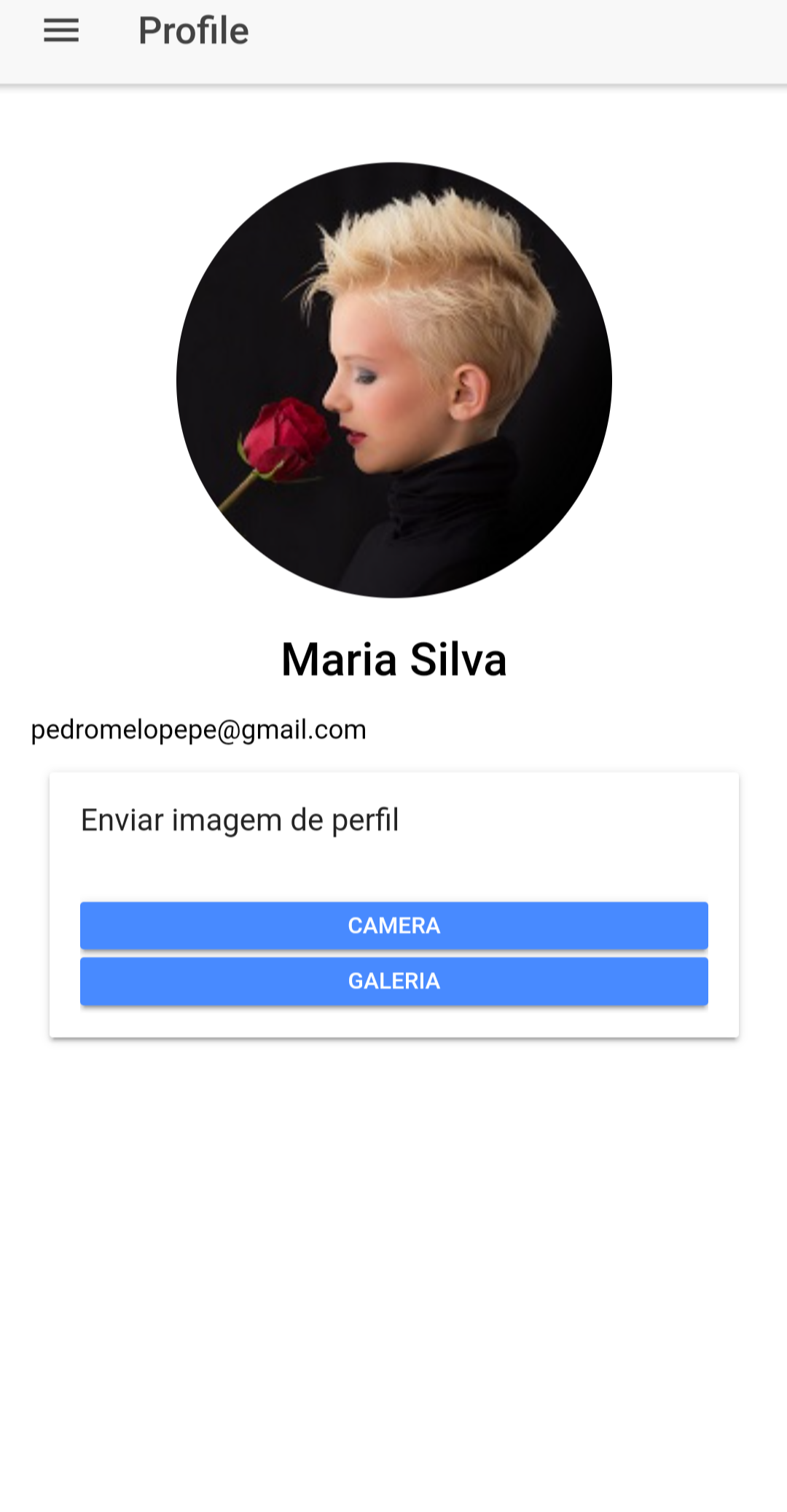 GitHub - PedroPareschi/E-commerce-project-front-end: The front-end step to the e-commerce ...