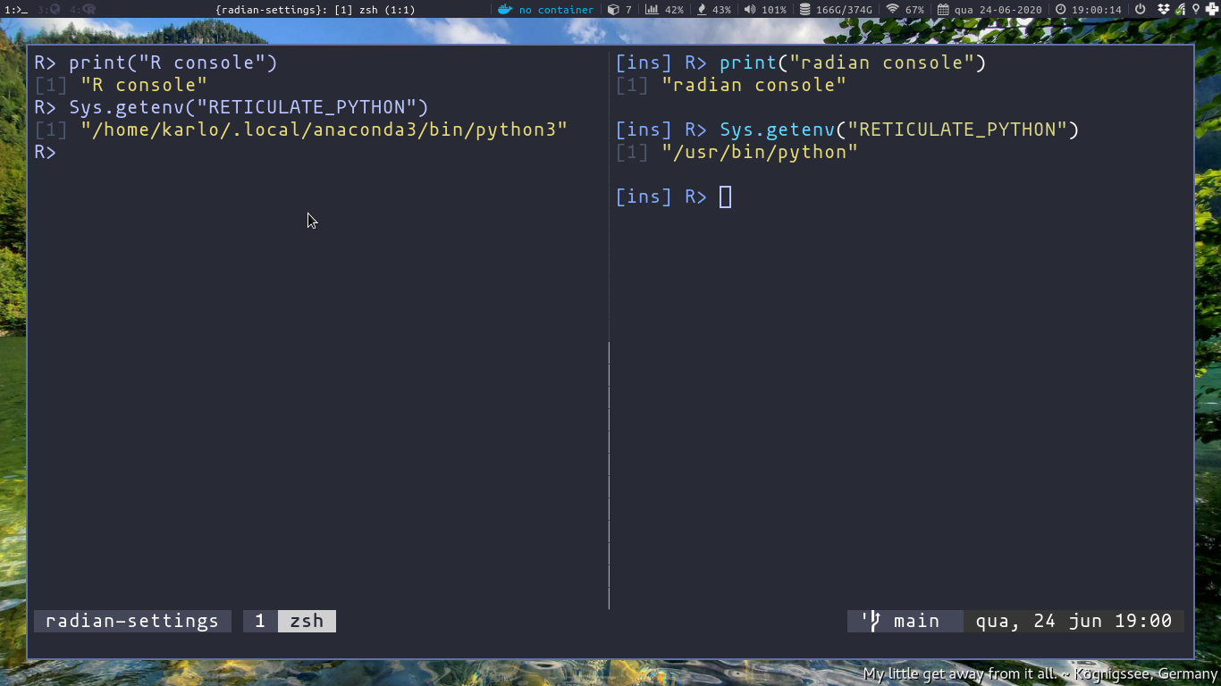 Reticulatepython Differs Between R And Radian · Issue 206 · Randy3kradian · Github