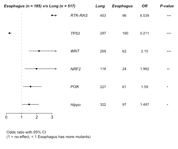mafCompare() or clinicalEnrichment() using pathways instead of genes [FR] · Issue #681 ...