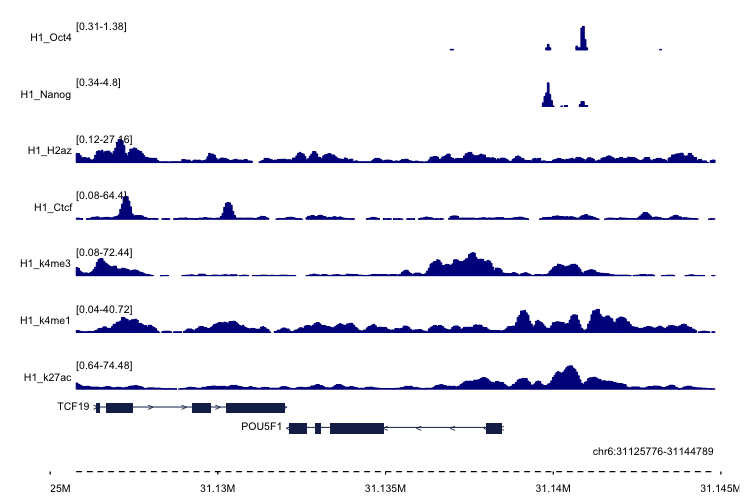 GitHub - PoisonAlien/trackplot: Generate IGV style locus tracks from bigWig files in R