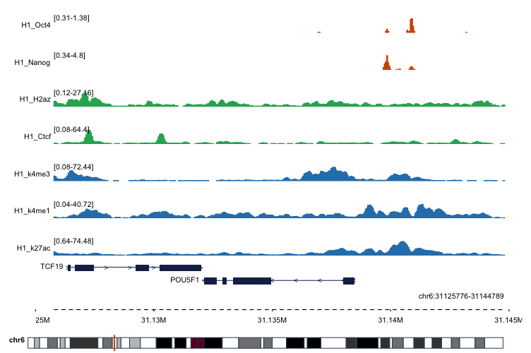 GitHub - PoisonAlien/trackplot: Generate IGV style locus tracks from bigWig files in R